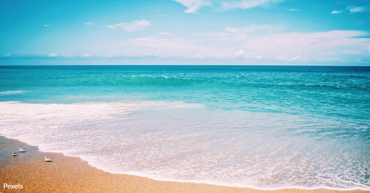 Unseen Forces Drive the Mixing of Earth’s Largest Oceans | Free the Ocean