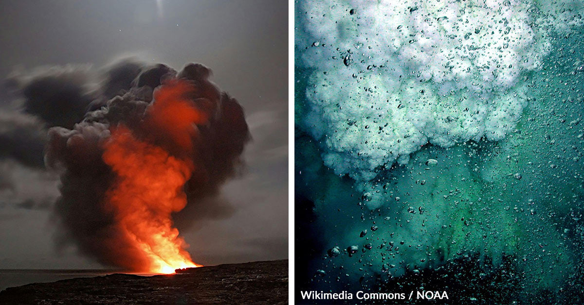 Scientists Watch Underwater Volcano Erupt and Bury a Thriving Marine W ...