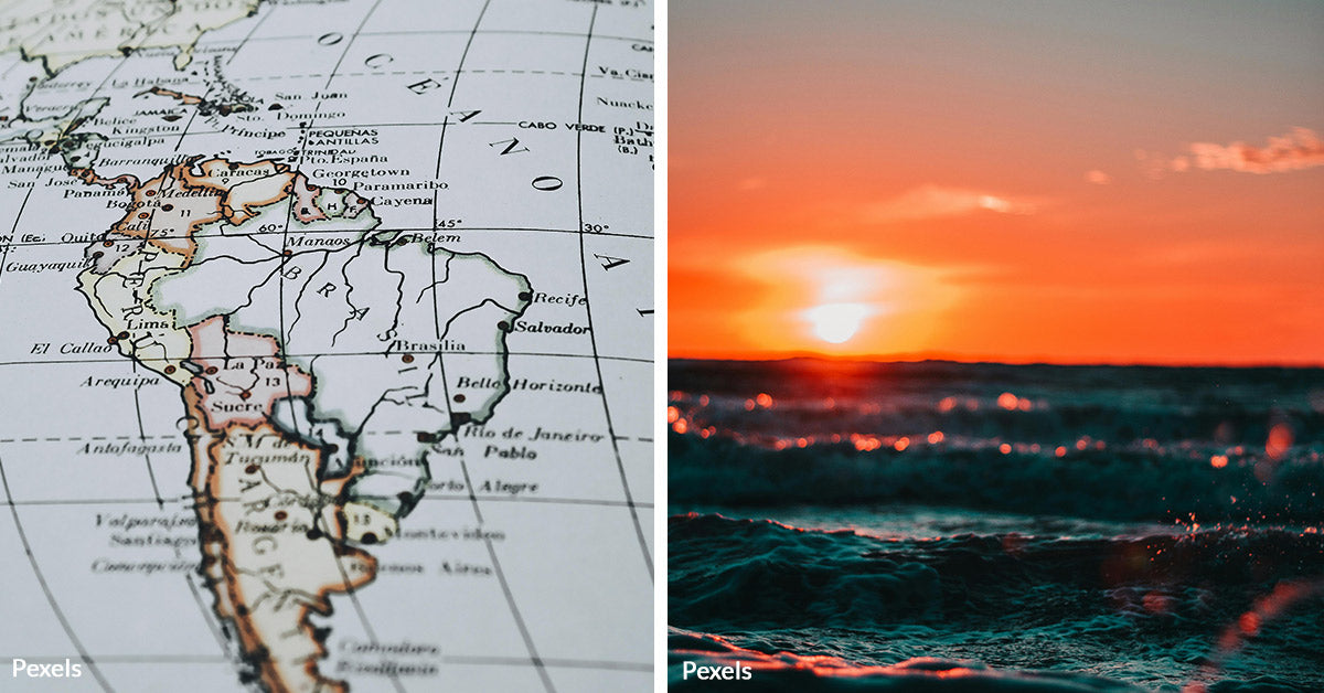 How Many Oceans Are On Planet Earth? | Free the Ocean