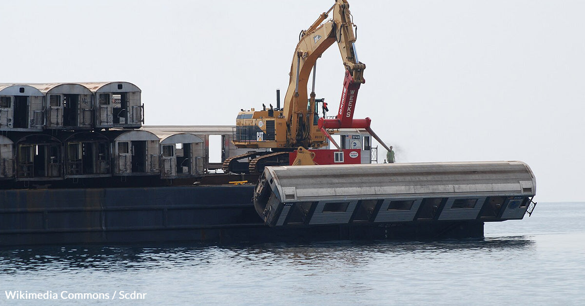 New York’s Artificial Reefs Revitalize Marine Life and Defend Coasts f ...