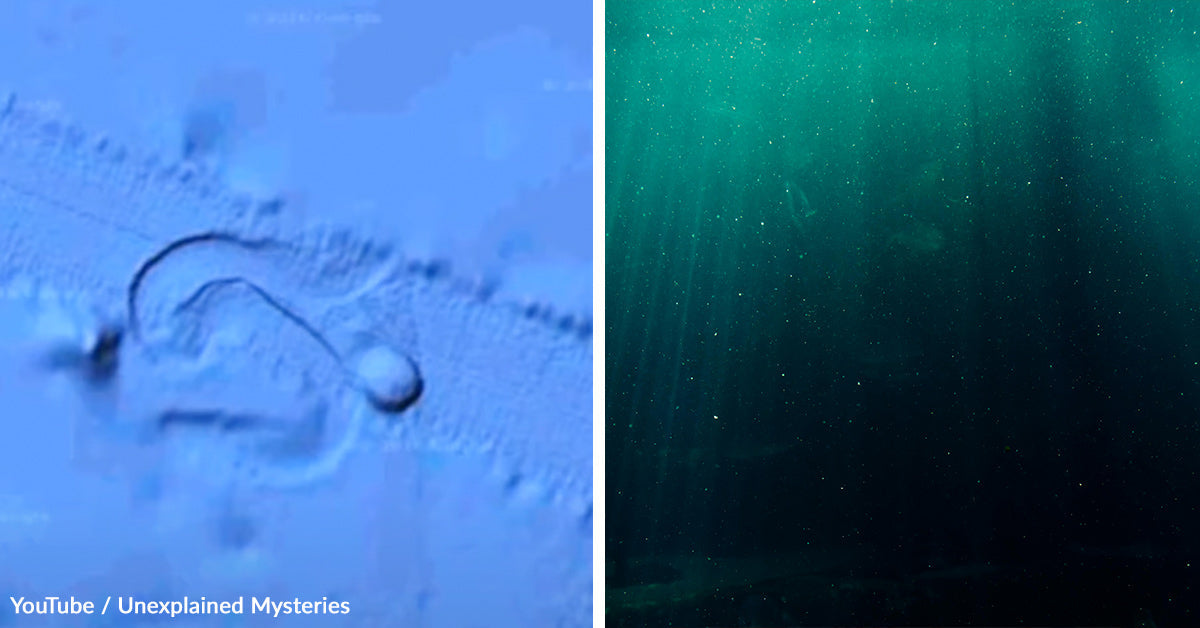 Massive Ocean Object Leaves Mysterious Trail Across the Pacific Seaflo ...