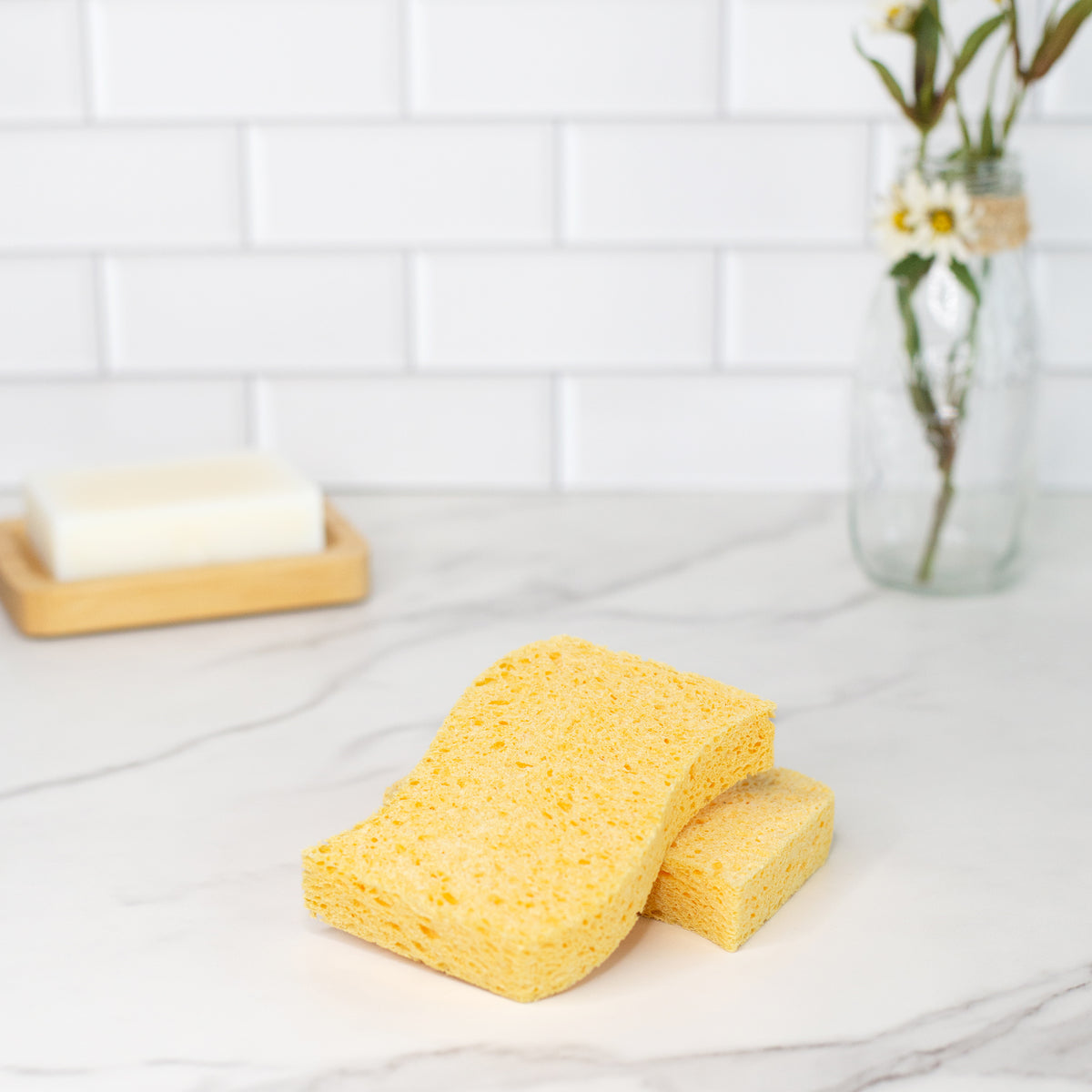 Eco Friendly Natural Kitchen Sponges | Free The Ocean | Free the Ocean