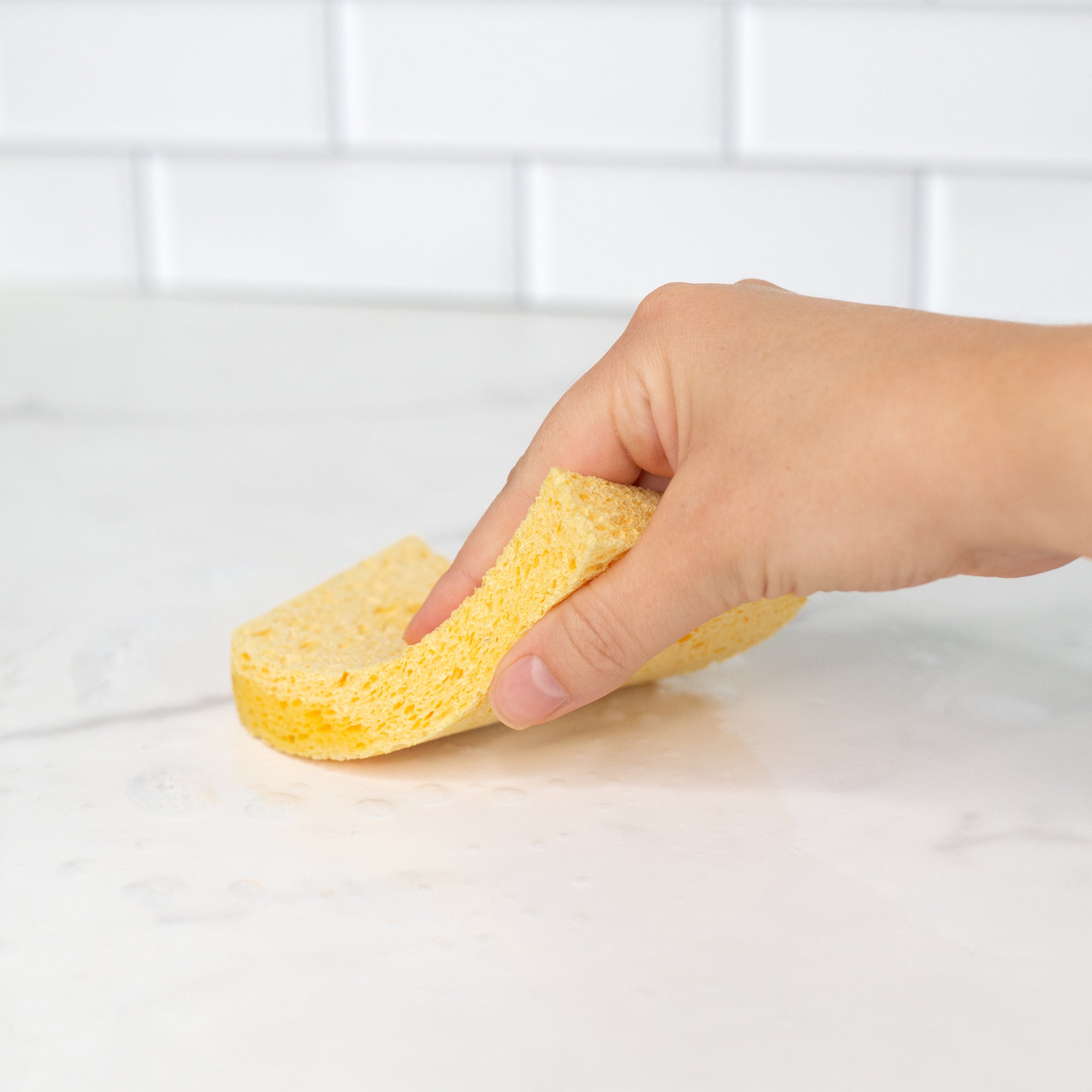Eco Friendly Natural Kitchen Sponges | Free The Ocean | Free the Ocean